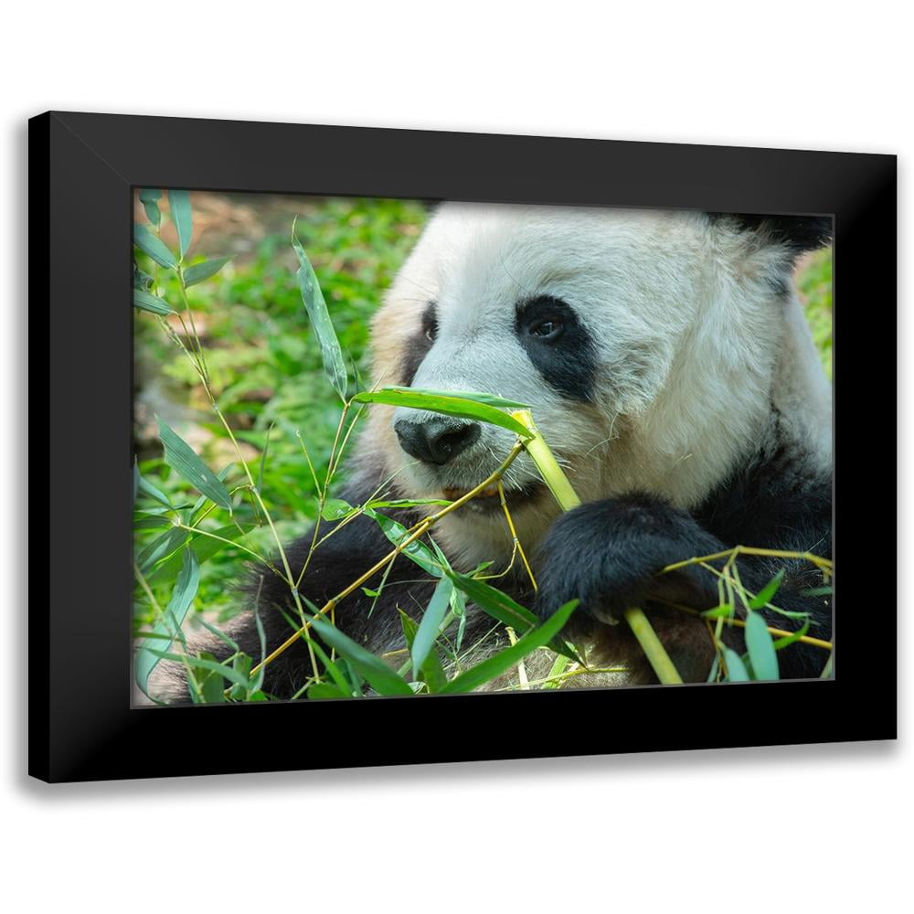Fitzharris, Tim 14x12 Black Modern Framed Museum Art Print Titled ...