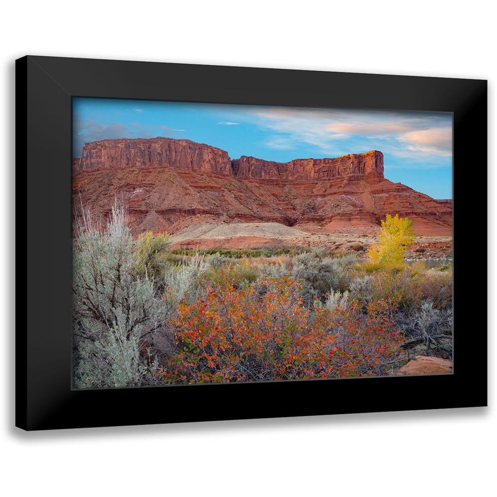 Fitzharris, Tim 14x12 Black Modern Framed Museum Art Print Titled ...