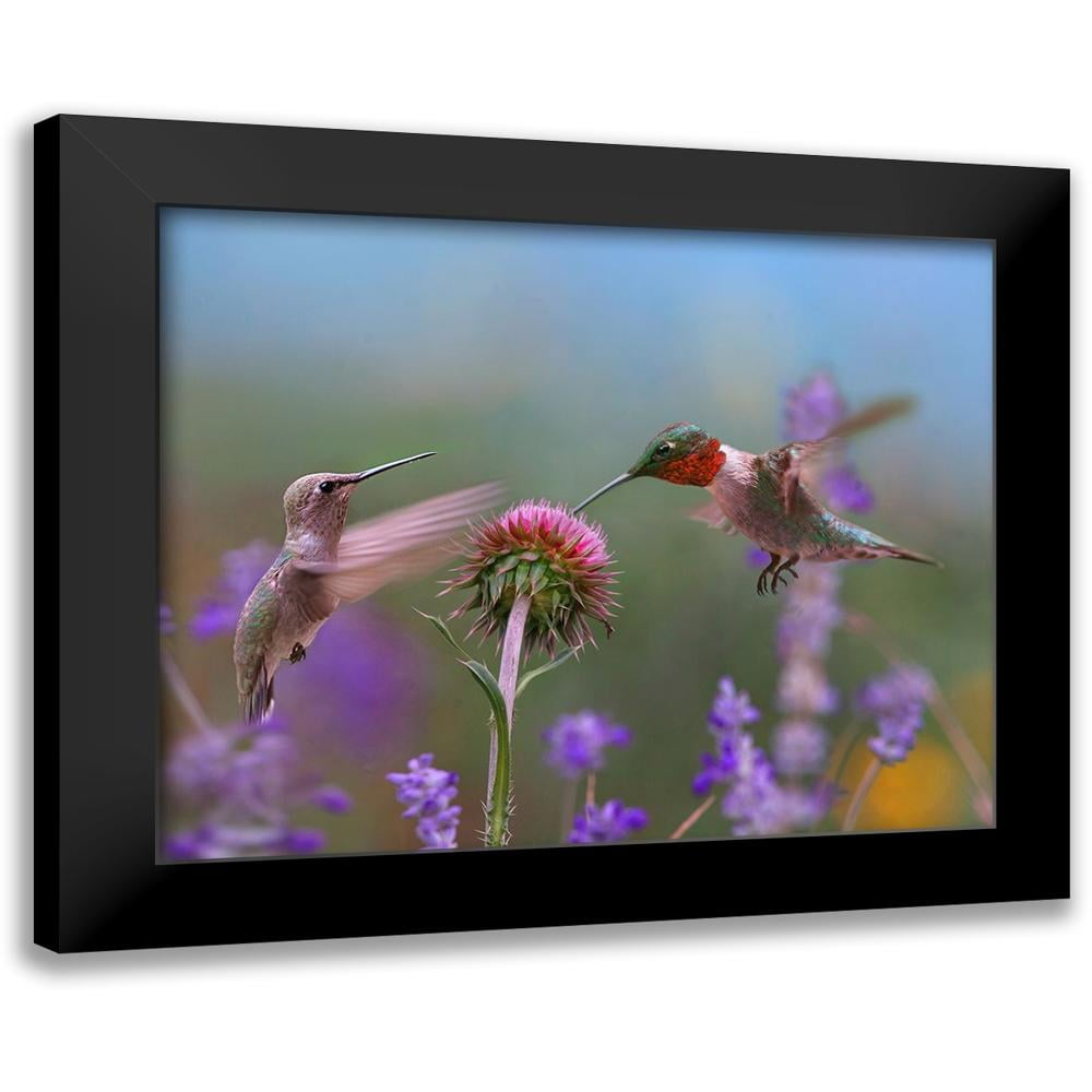 Fitzharris, Tim 14x12 Black Modern Framed Museum Art Print Titled ...