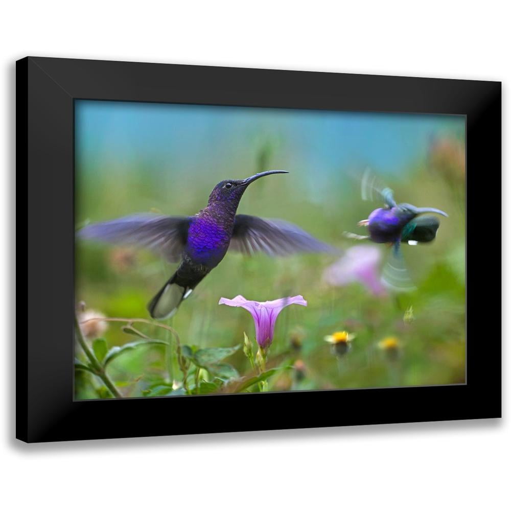 Fitzharris, Tim 14x12 Black Modern Framed Museum Art Print Titled ...