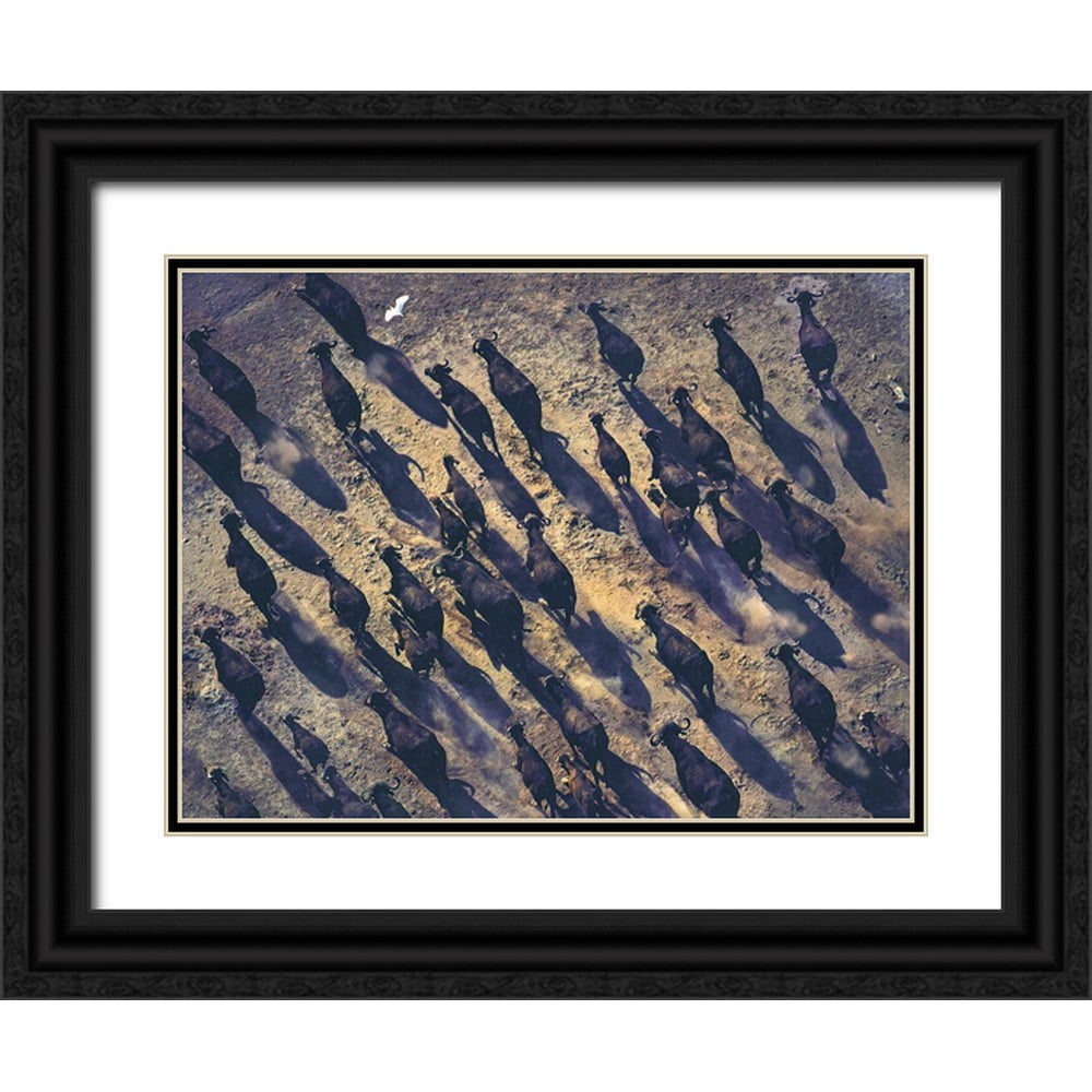 Fitzharris, Tim 14x12 Black Ornate Wood Framed with Double Matting ...