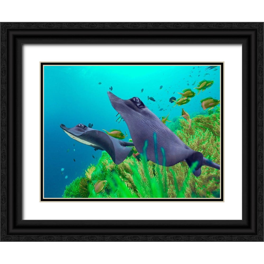 Fitzharris, Tim 14x12 Black Ornate Wood Framed with Double Matting ...