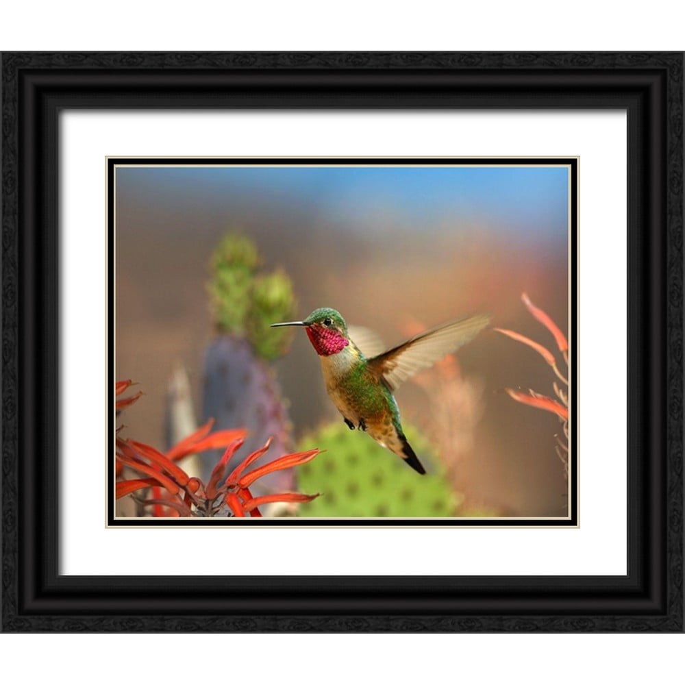 Fitzharris, Tim 14x12 Black Ornate Wood Framed with Double Matting ...