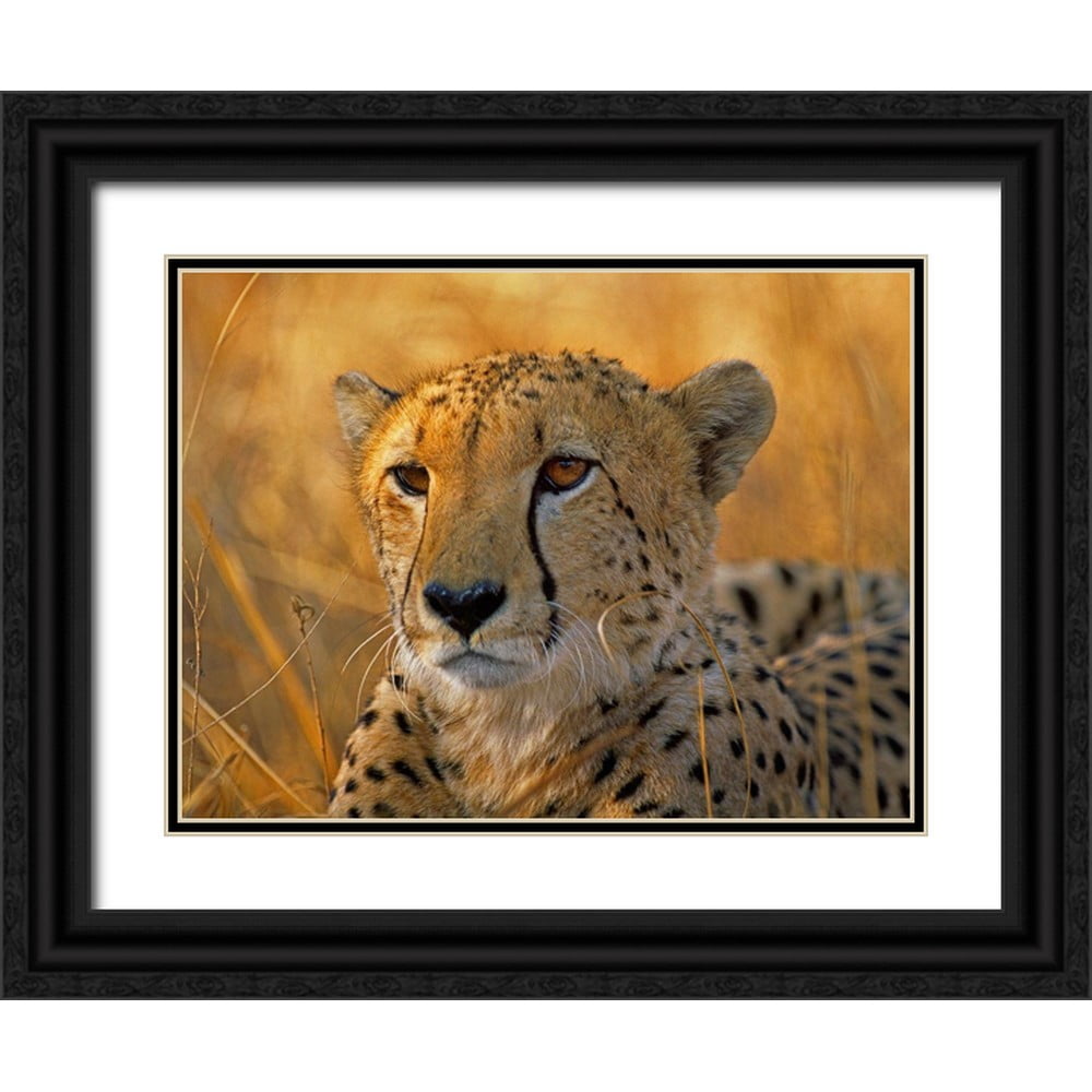 Fitzharris, Tim 14x12 Black Ornate Wood Framed with Double Matting ...