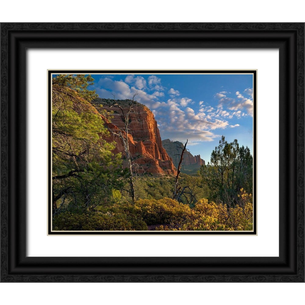 Fitzharris, Tim 14x12 Black Ornate Wood Framed with Double Matting ...