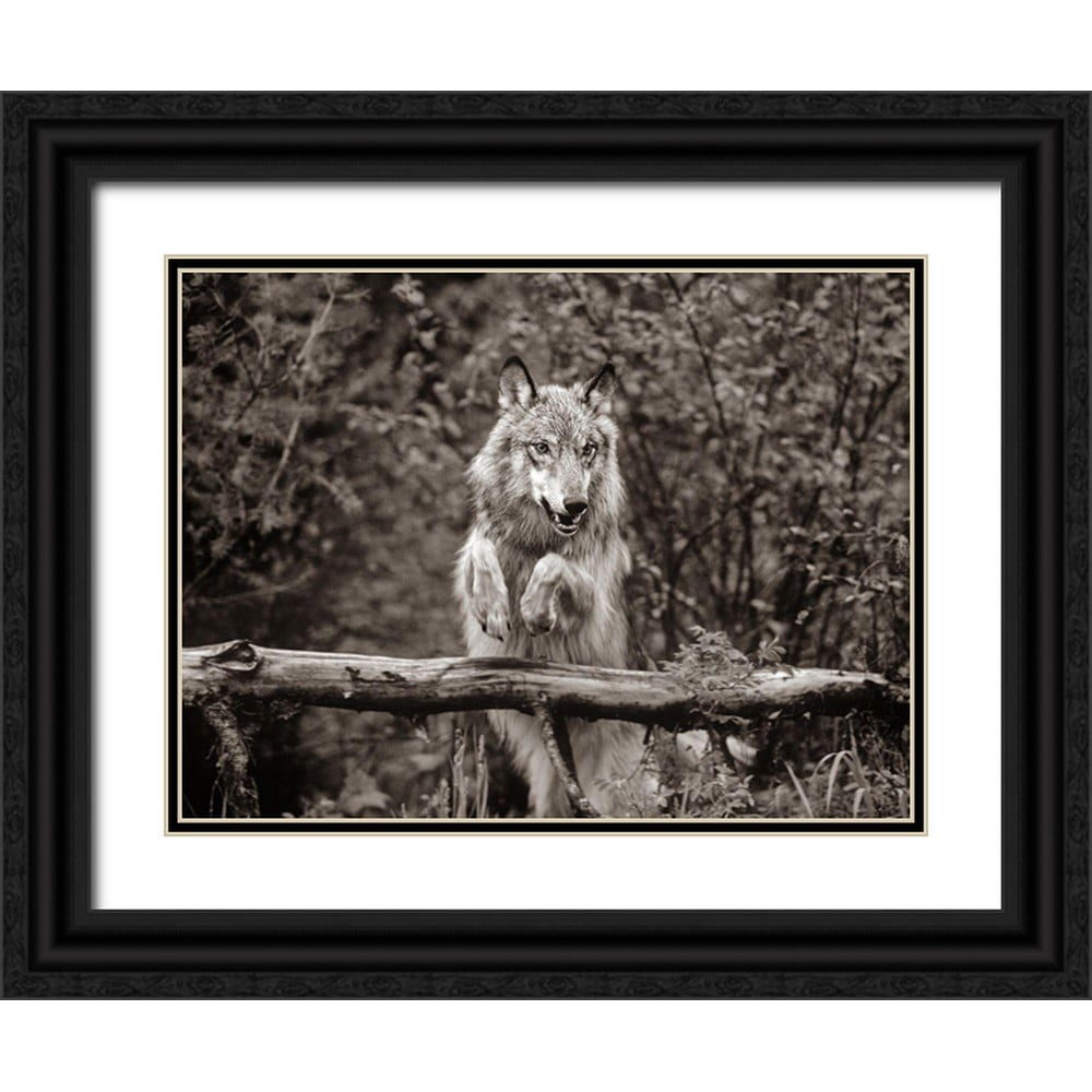 Fitzharris, Tim 14x12 Black Ornate Wood Framed with Double Matting ...