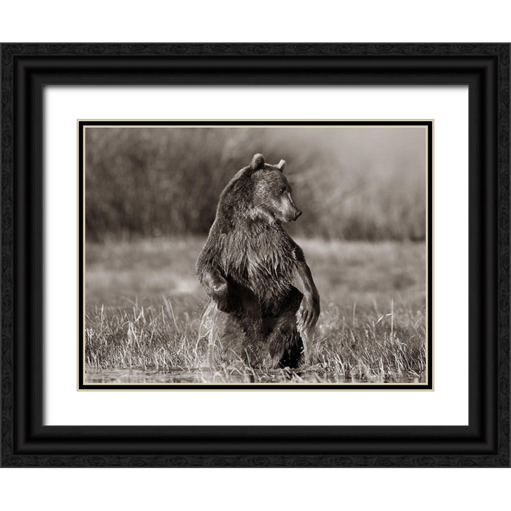 Fitzharris, Tim 14x12 Black Ornate Wood Framed with Double Matting ...