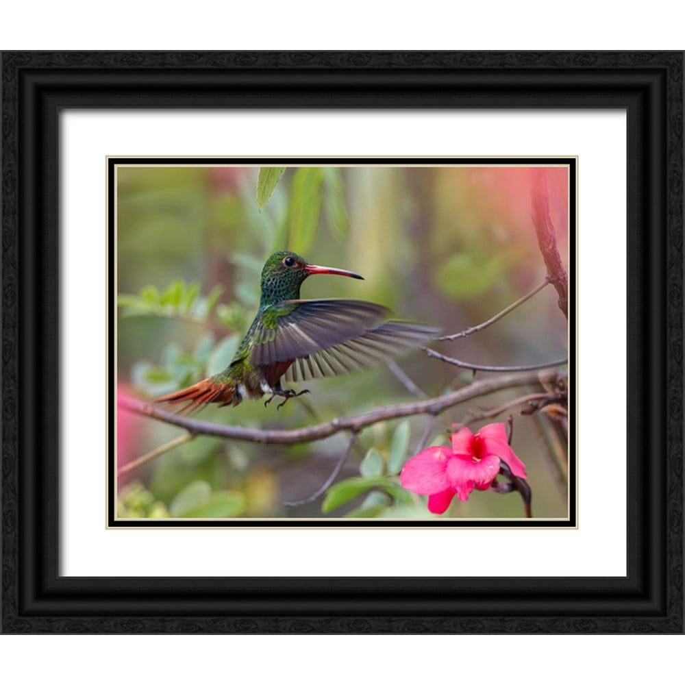 Fitzharris, Tim 14x12 Black Ornate Wood Framed with Double Matting ...