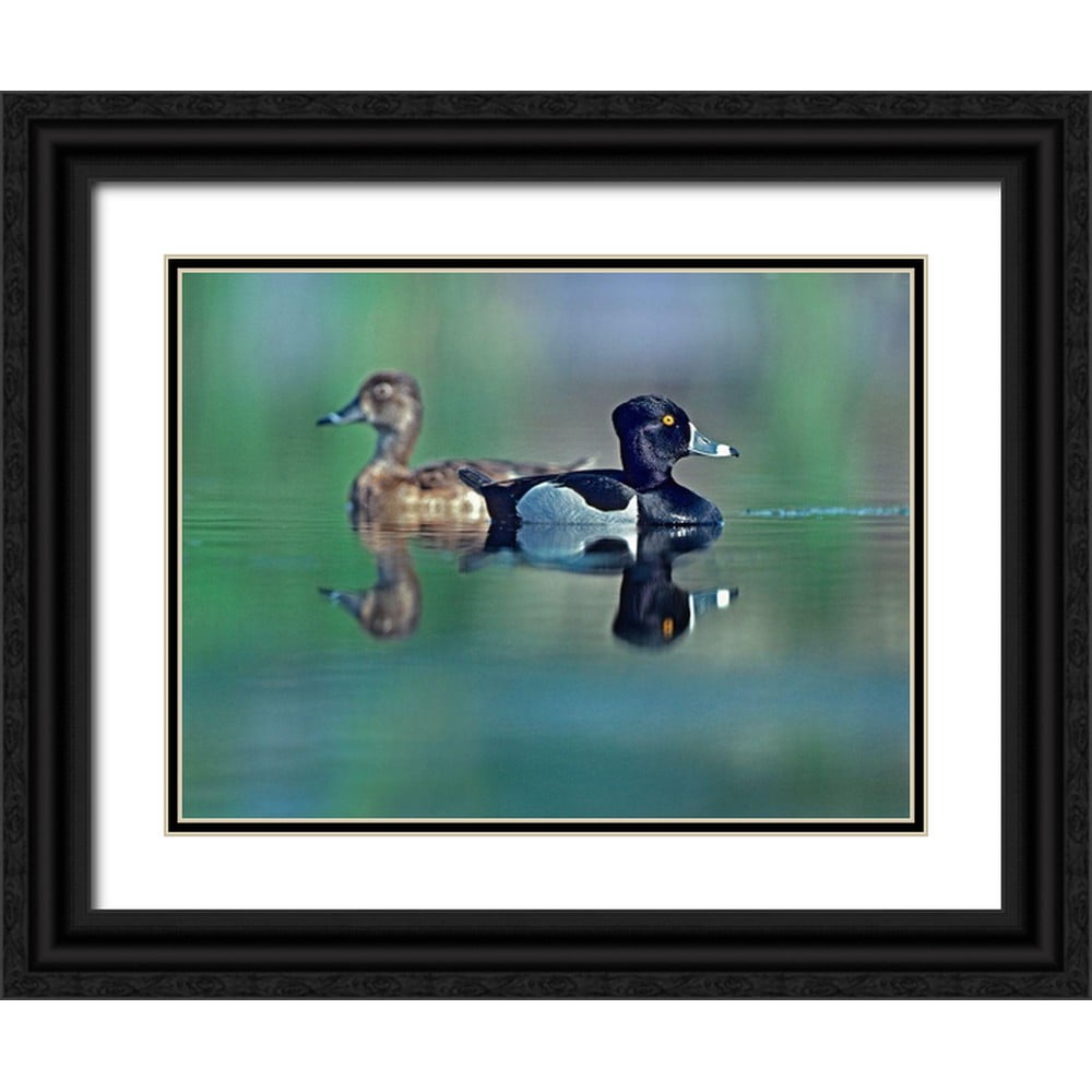 Fitzharris, Tim 14x12 Black Ornate Wood Framed with Double Matting ...