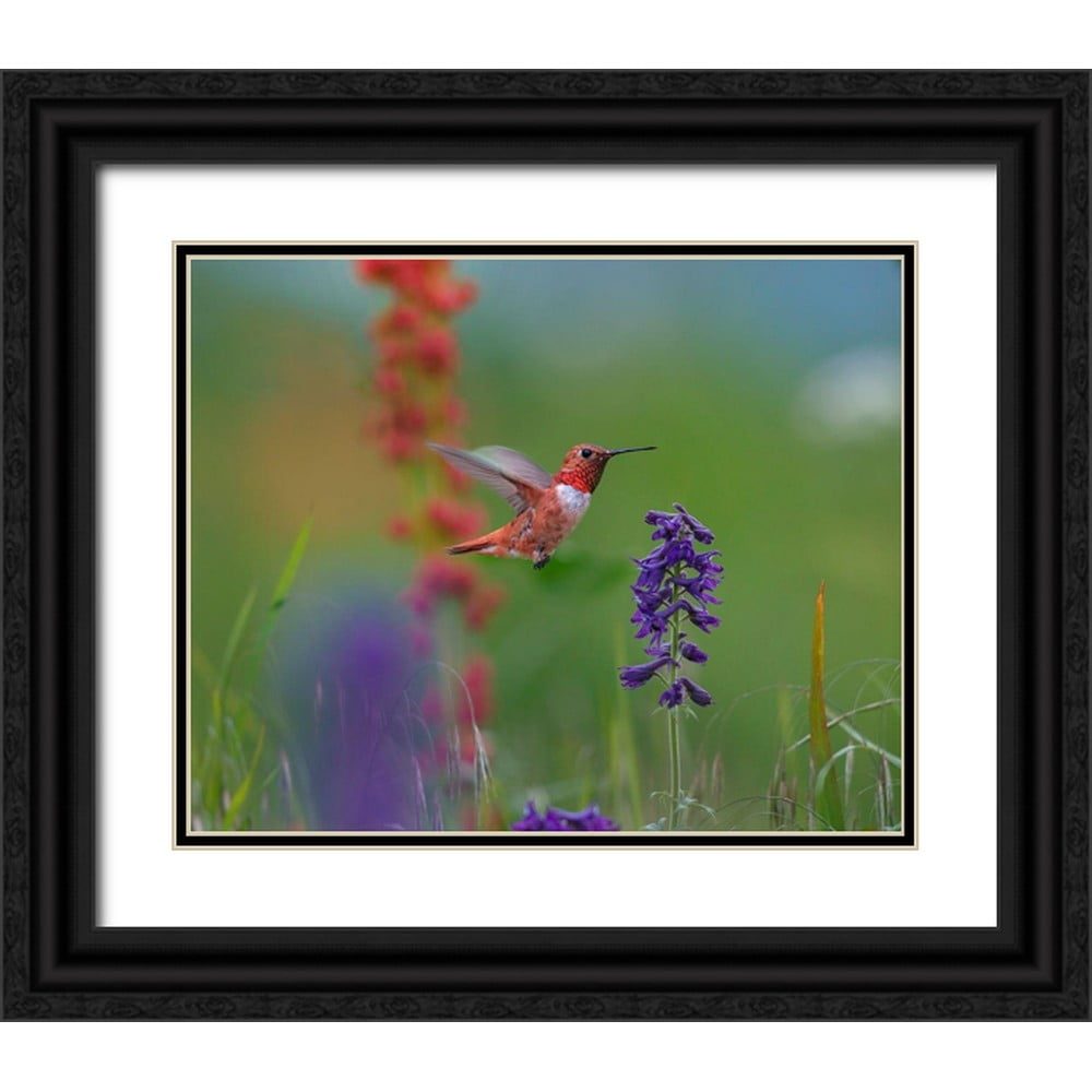 Fitzharris, Tim 14x12 Black Ornate Wood Framed with Double Matting ...