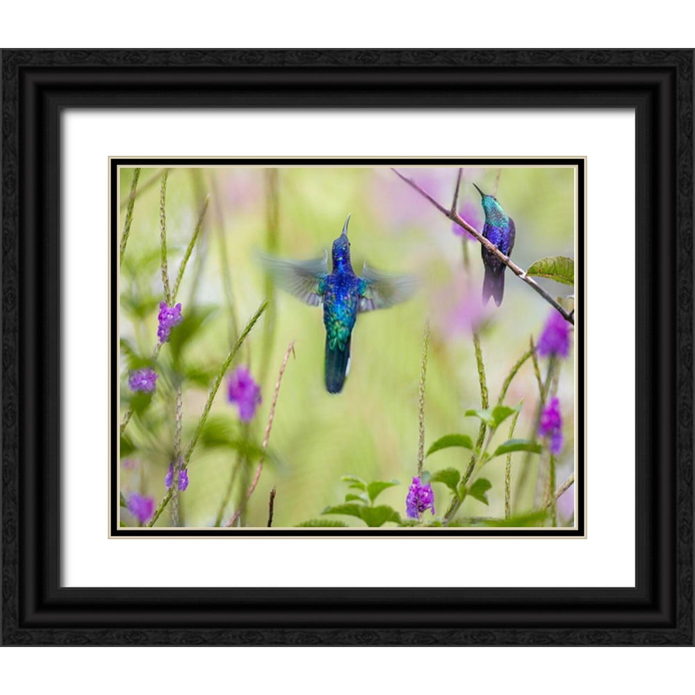 Fitzharris, Tim 14x12 Black Ornate Wood Framed with Double Matting ...