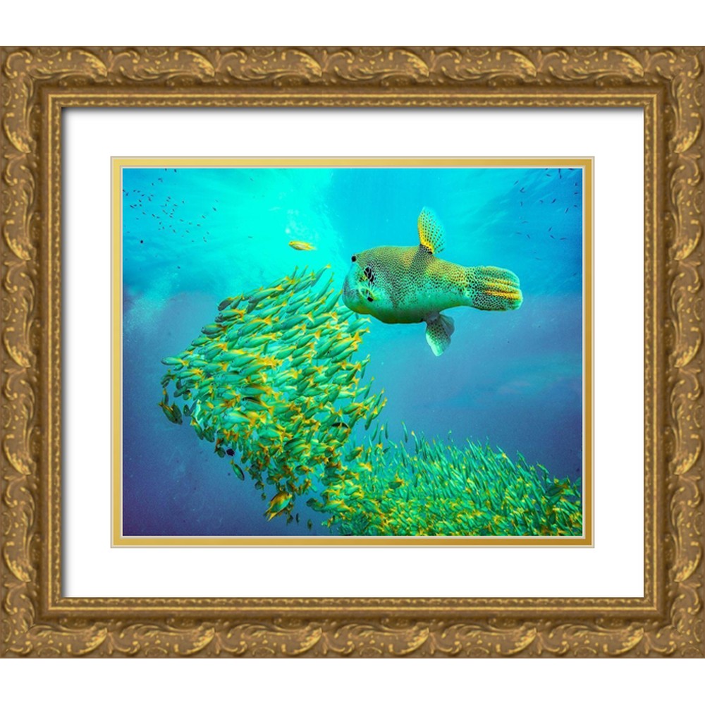Fitzharris, Tim 14x12 Gold Ornate Wood Framed with Double Matting ...