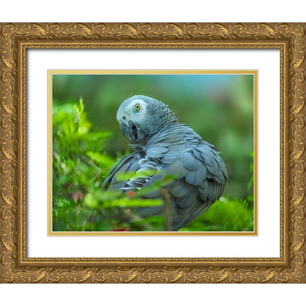 Fitzharris, Tim 14x12 Gold Ornate Wood Framed with Double Matting ...