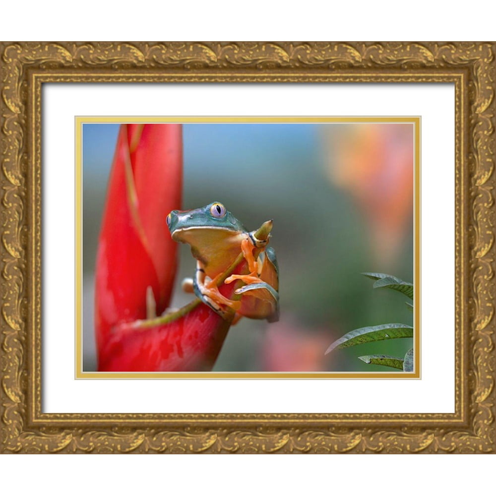 Fitzharris, Tim 14x12 Gold Ornate Wood Framed with Double Matting ...