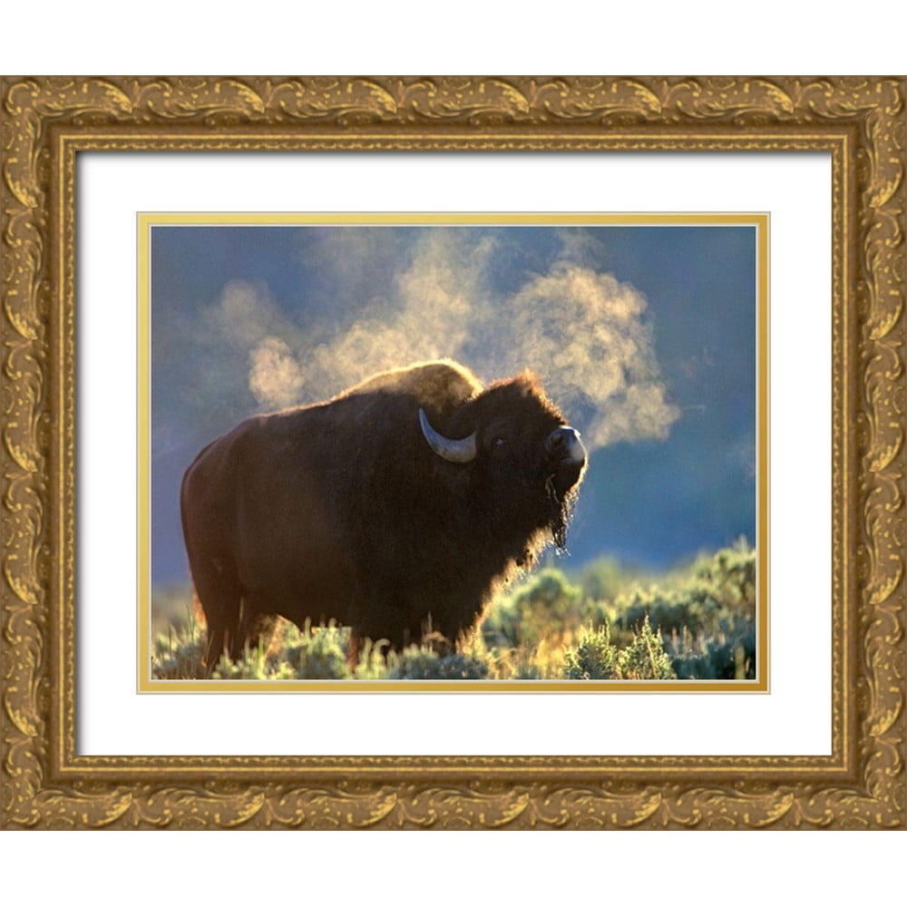 Fitzharris, Tim 14x12 Gold Ornate Wood Framed with Double Matting ...