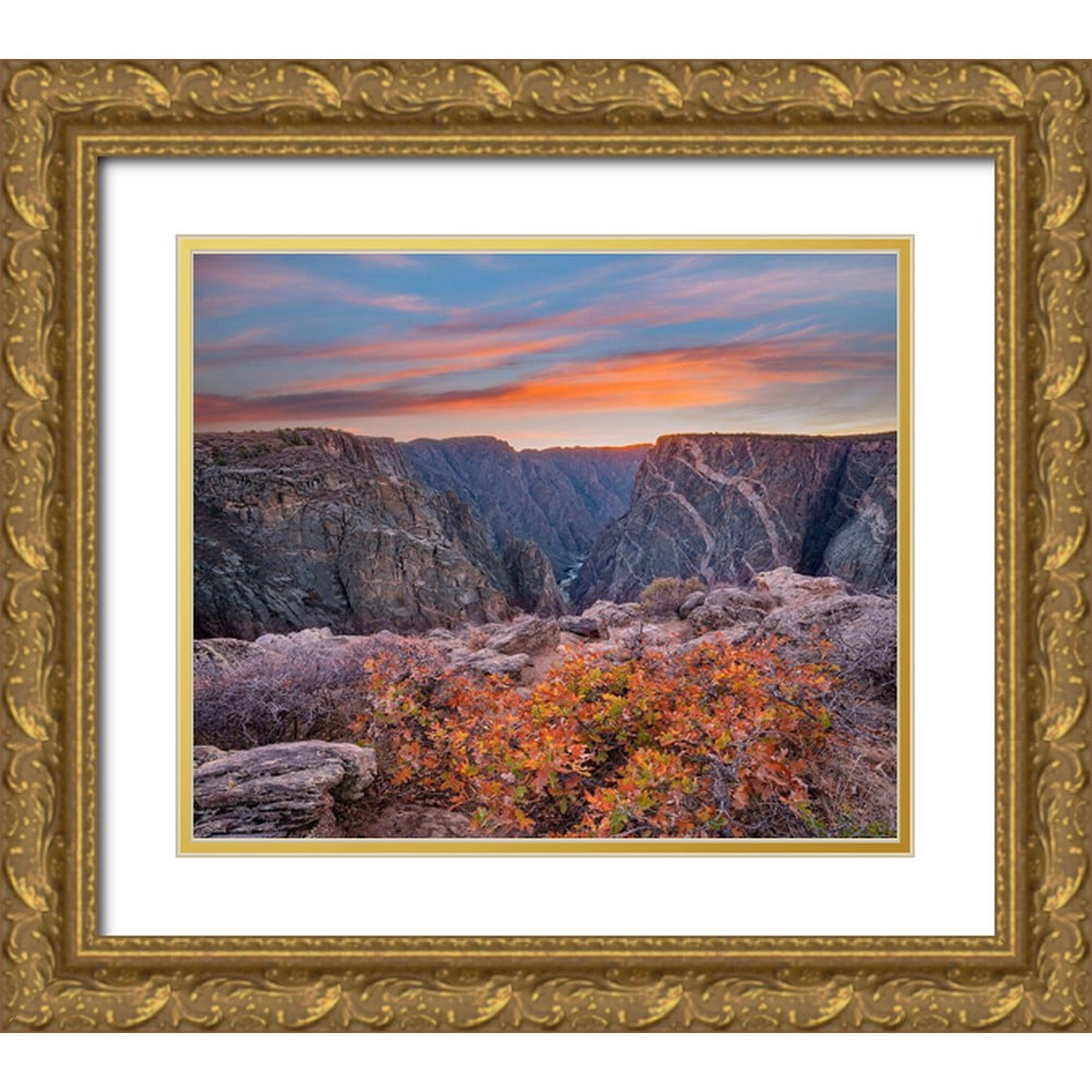 Fitzharris, Tim 14x12 Gold Ornate Wood Framed with Double Matting ...