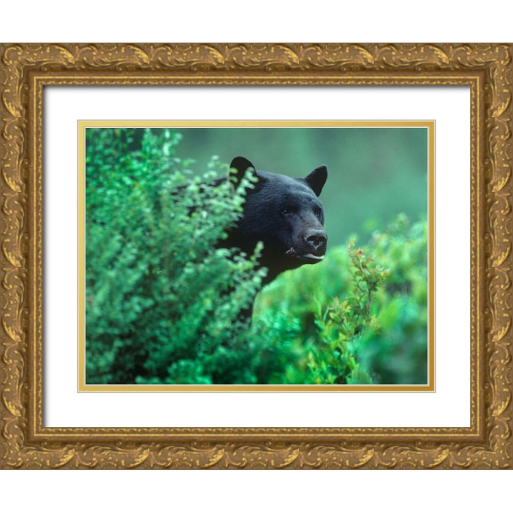 Fitzharris, Tim 14x12 Gold Ornate Wood Framed with Double Matting ...