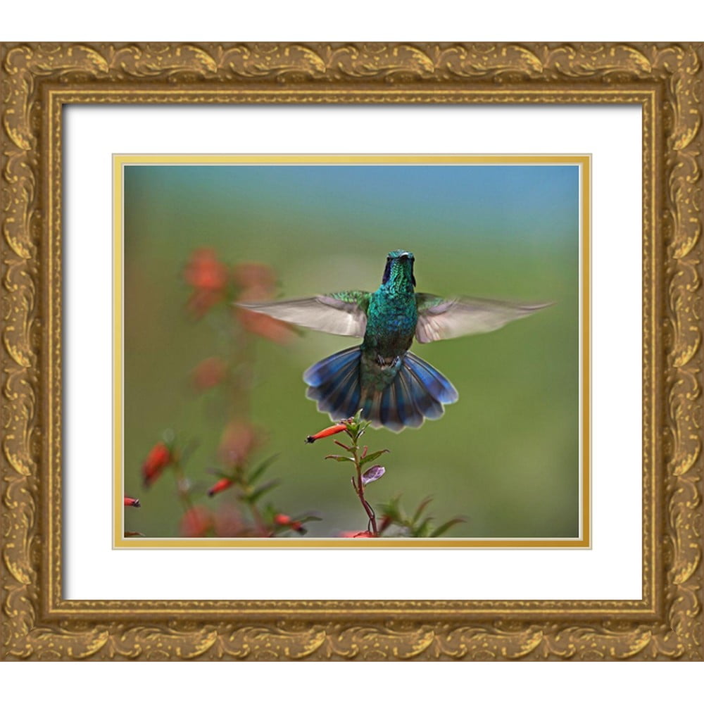 Fitzharris, Tim 14x12 Gold Ornate Wood Framed with Double Matting ...