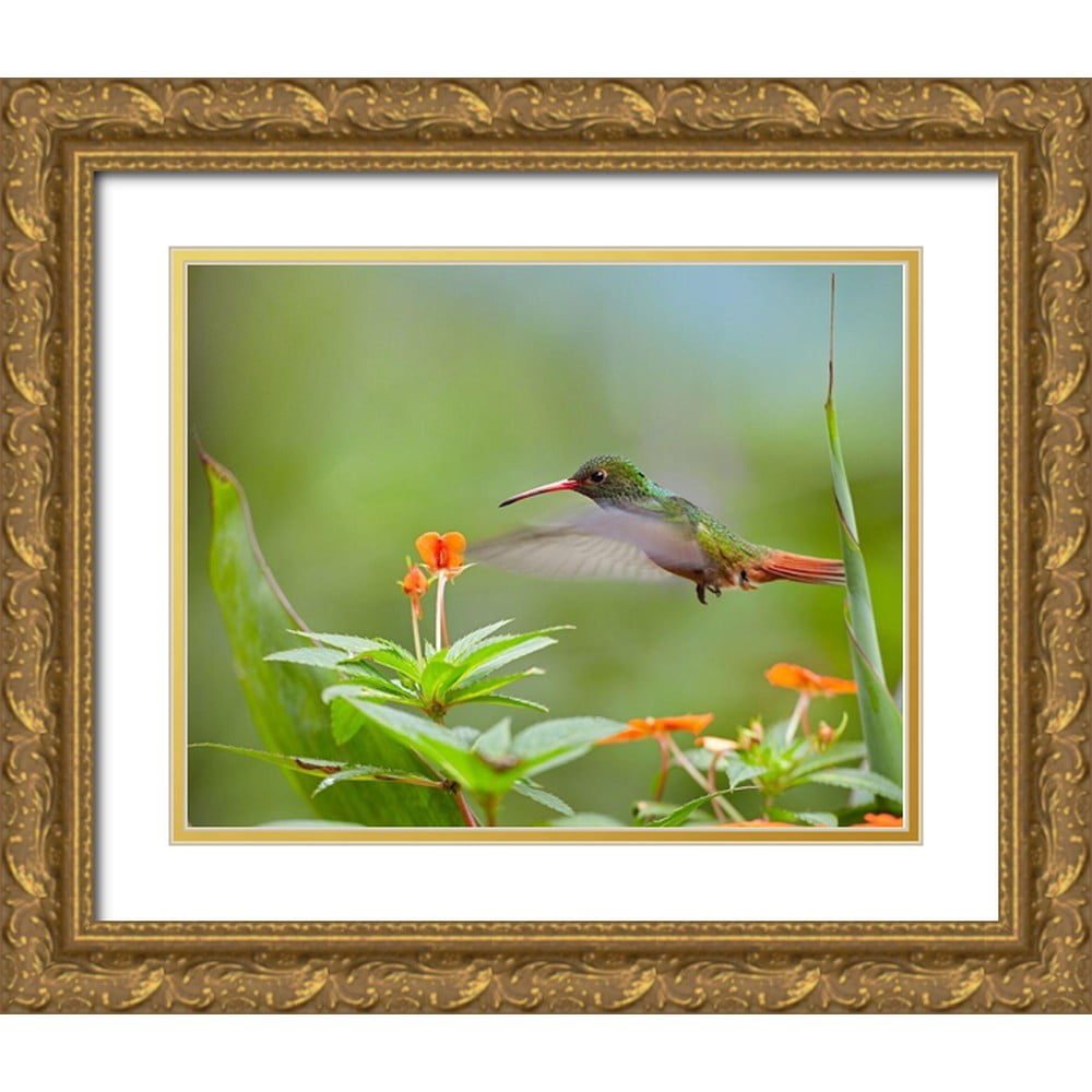 Fitzharris, Tim 14x12 Gold Ornate Wood Framed with Double Matting ...