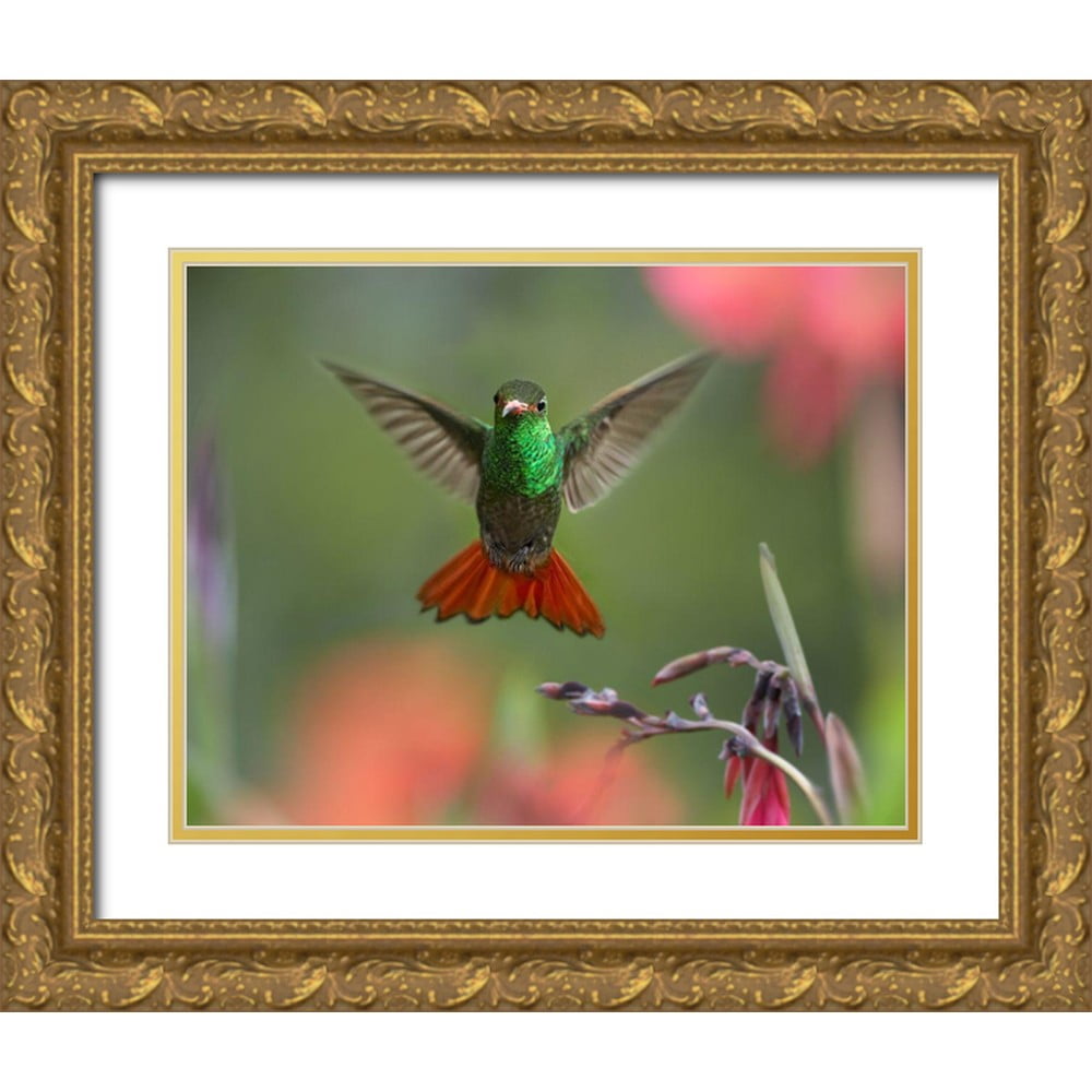 Fitzharris, Tim 14x12 Gold Ornate Wood Framed with Double Matting ...