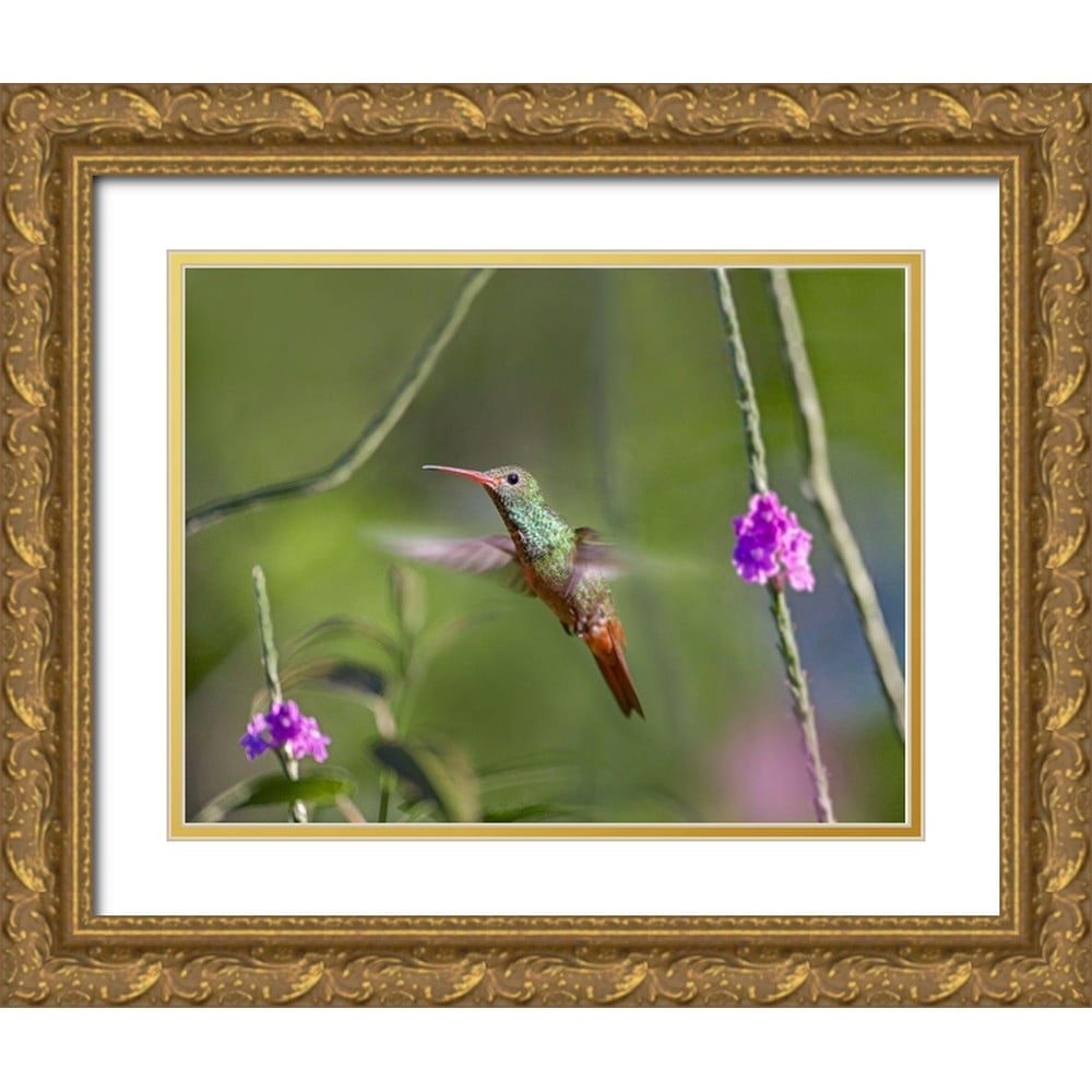 Fitzharris, Tim 14x12 Gold Ornate Wood Framed with Double Matting ...