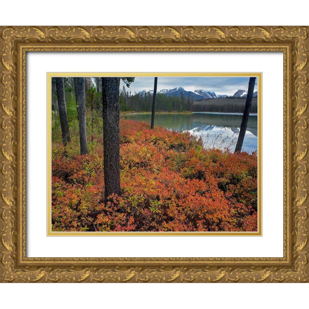 Fitzharris, Tim 14x12 Gold Ornate Wood Framed with Double Matting ...