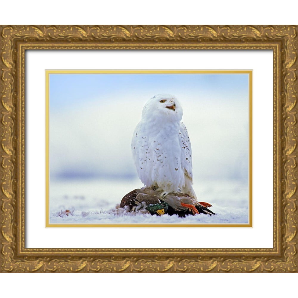 Fitzharris, Tim 14x12 Gold Ornate Wood Framed with Double Matting ...