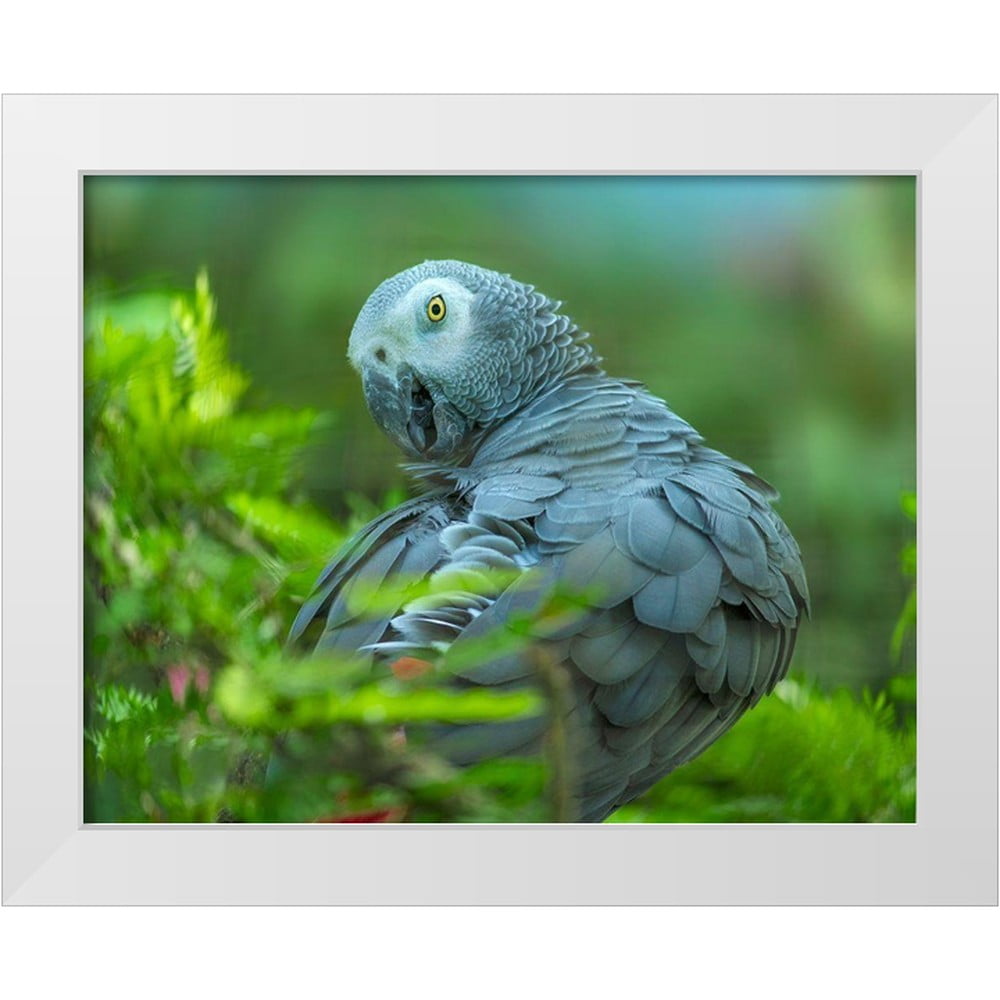 Fitzharris, Tim 14x12 White Modern Wood Framed Museum Art Print Titled ...