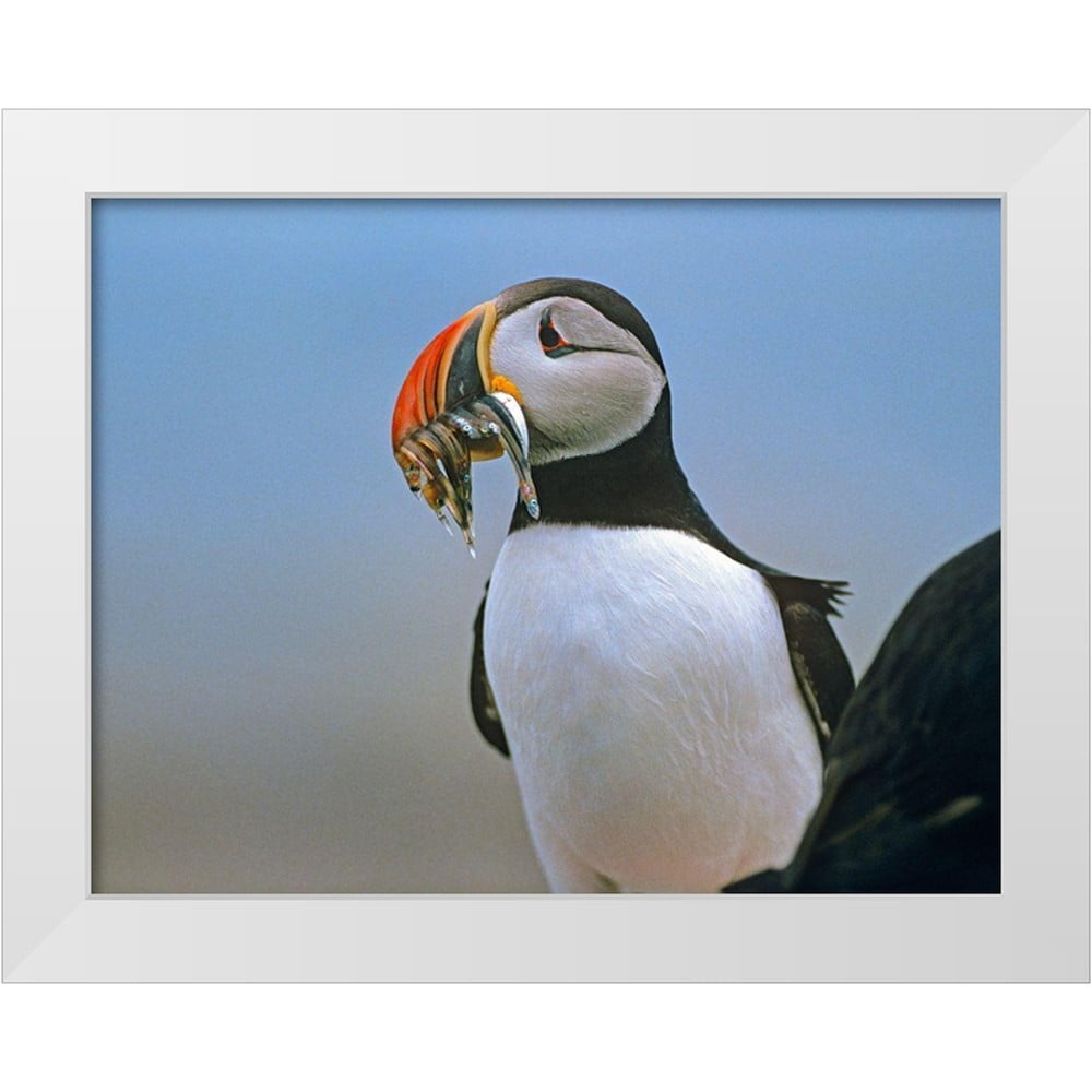 Fitzharris, Tim 14x12 White Modern Wood Framed Museum Art Print Titled ...