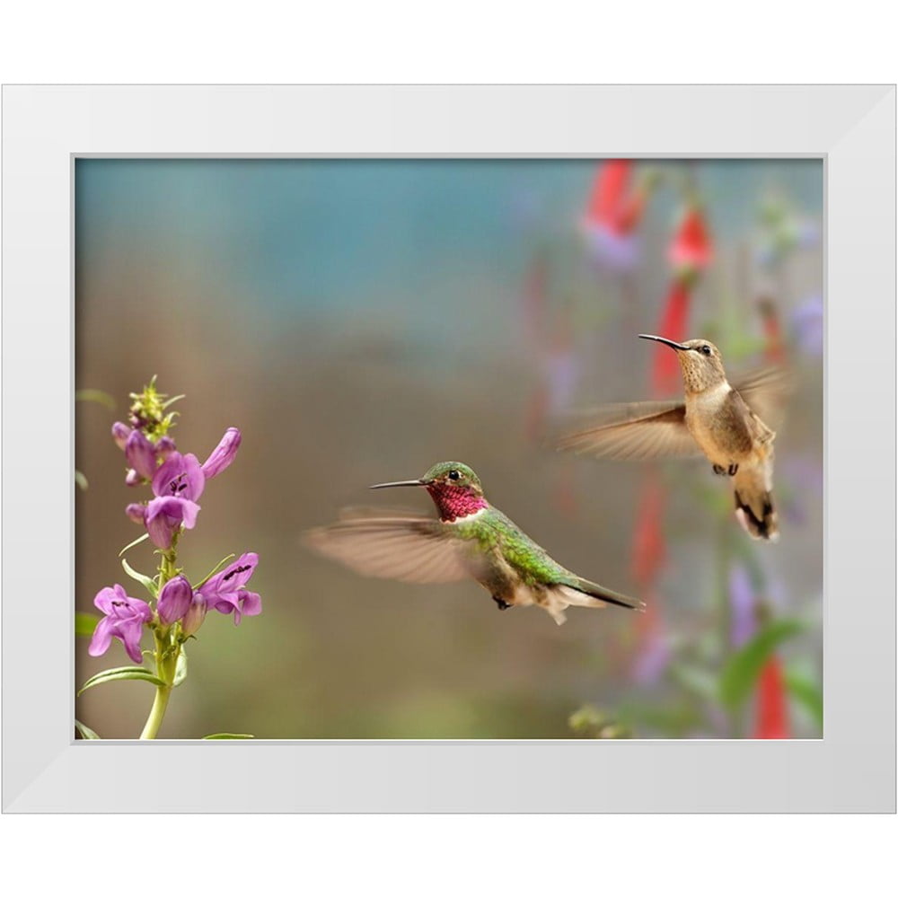 Fitzharris, Tim 14x12 White Modern Wood Framed Museum Art Print Titled ...