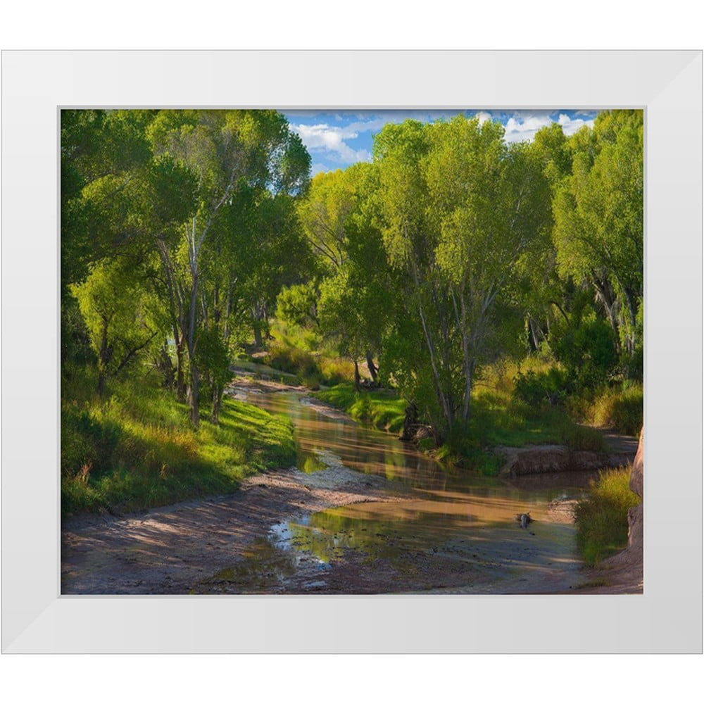 Fitzharris, Tim 14x12 White Modern Wood Framed Museum Art Print Titled ...