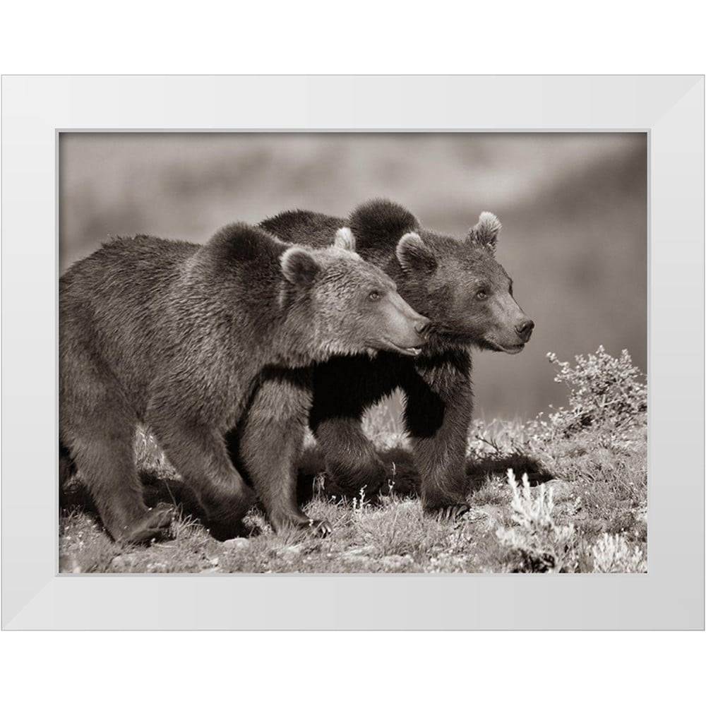 Fitzharris, Tim 14x12 White Modern Wood Framed Museum Art Print Titled ...