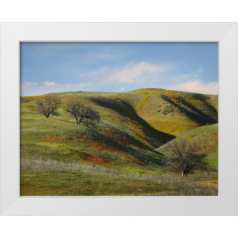 Fitzharris, Tim 14x12 White Modern Wood Framed Museum Art Print Titled ...