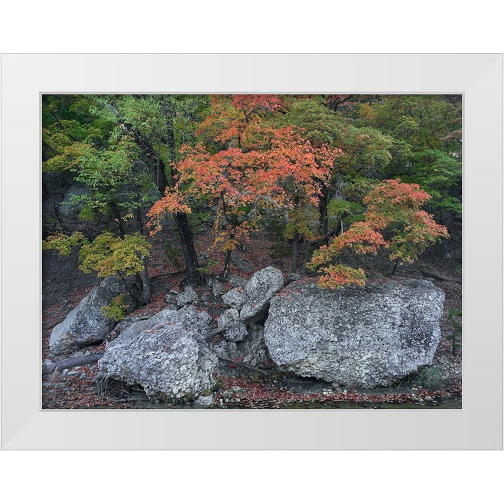 Fitzharris, Tim 14x12 White Modern Wood Framed Museum Art Print Titled ...