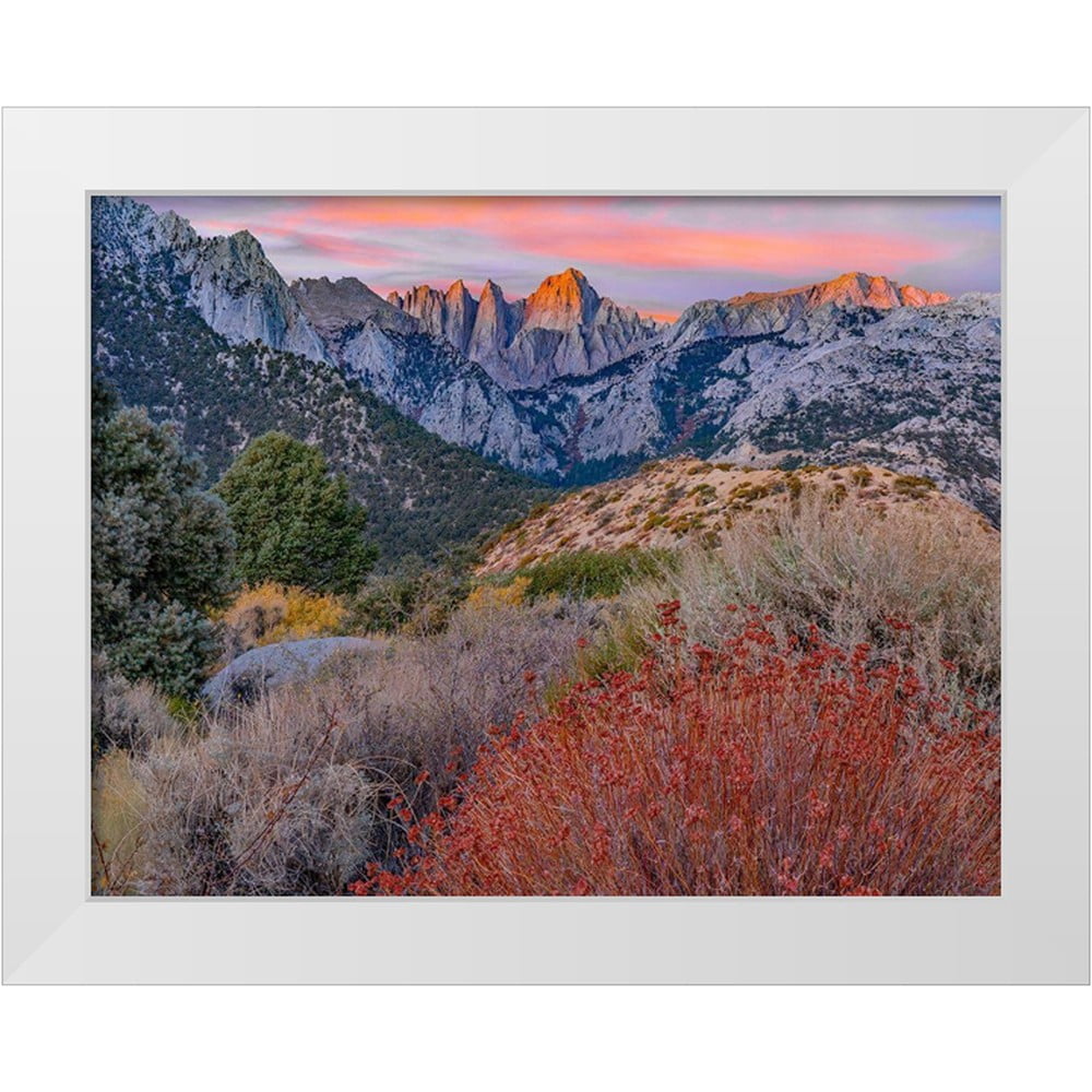 Fitzharris, Tim 14x12 White Modern Wood Framed Museum Art Print Titled ...