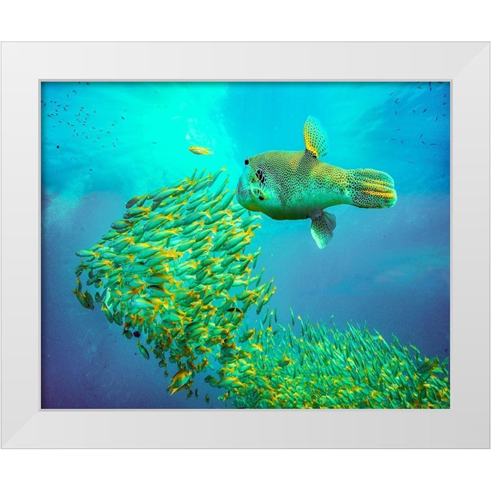 Fitzharris, Tim 14x12 White Modern Wood Framed Museum Art Print Titled ...