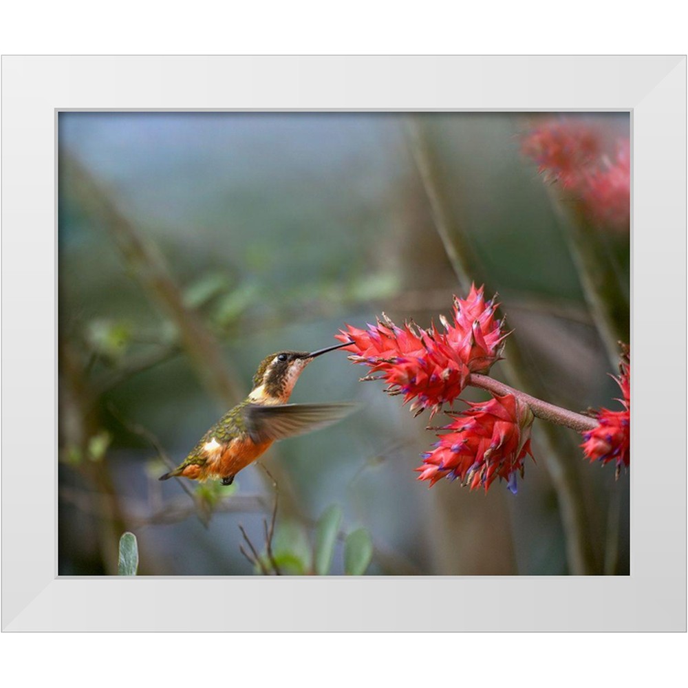Fitzharris, Tim 14x12 White Modern Wood Framed Museum Art Print Titled ...