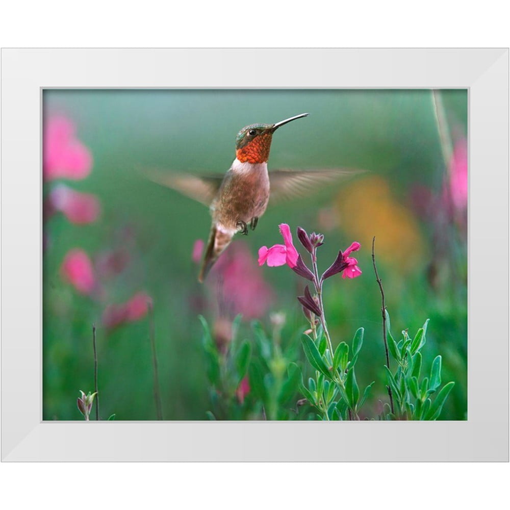 Fitzharris, Tim 14x12 White Modern Wood Framed Museum Art Print Titled ...