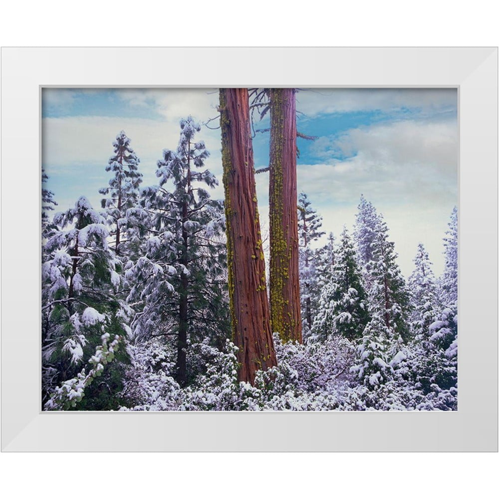 Fitzharris, Tim 14x12 White Modern Wood Framed Museum Art Print Titled ...
