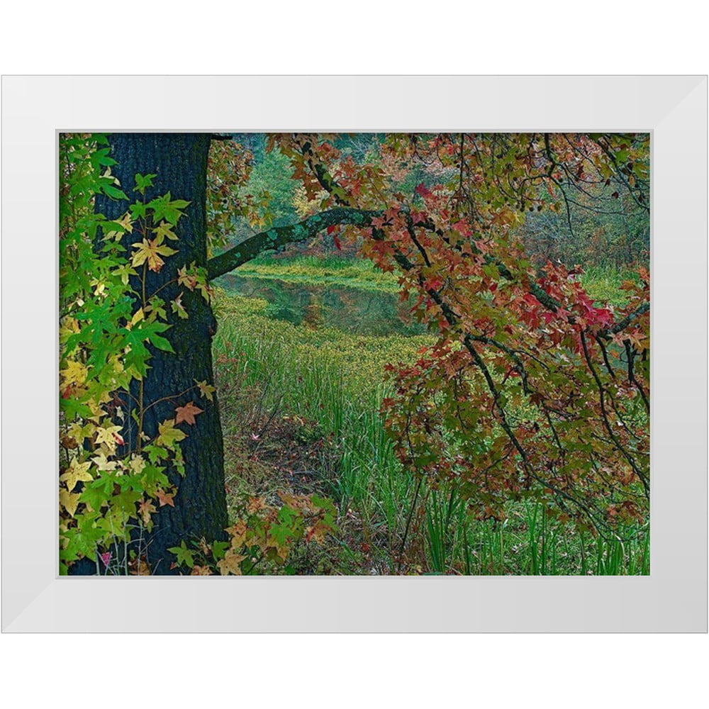 Fitzharris, Tim 14x12 White Modern Wood Framed Museum Art Print Titled ...