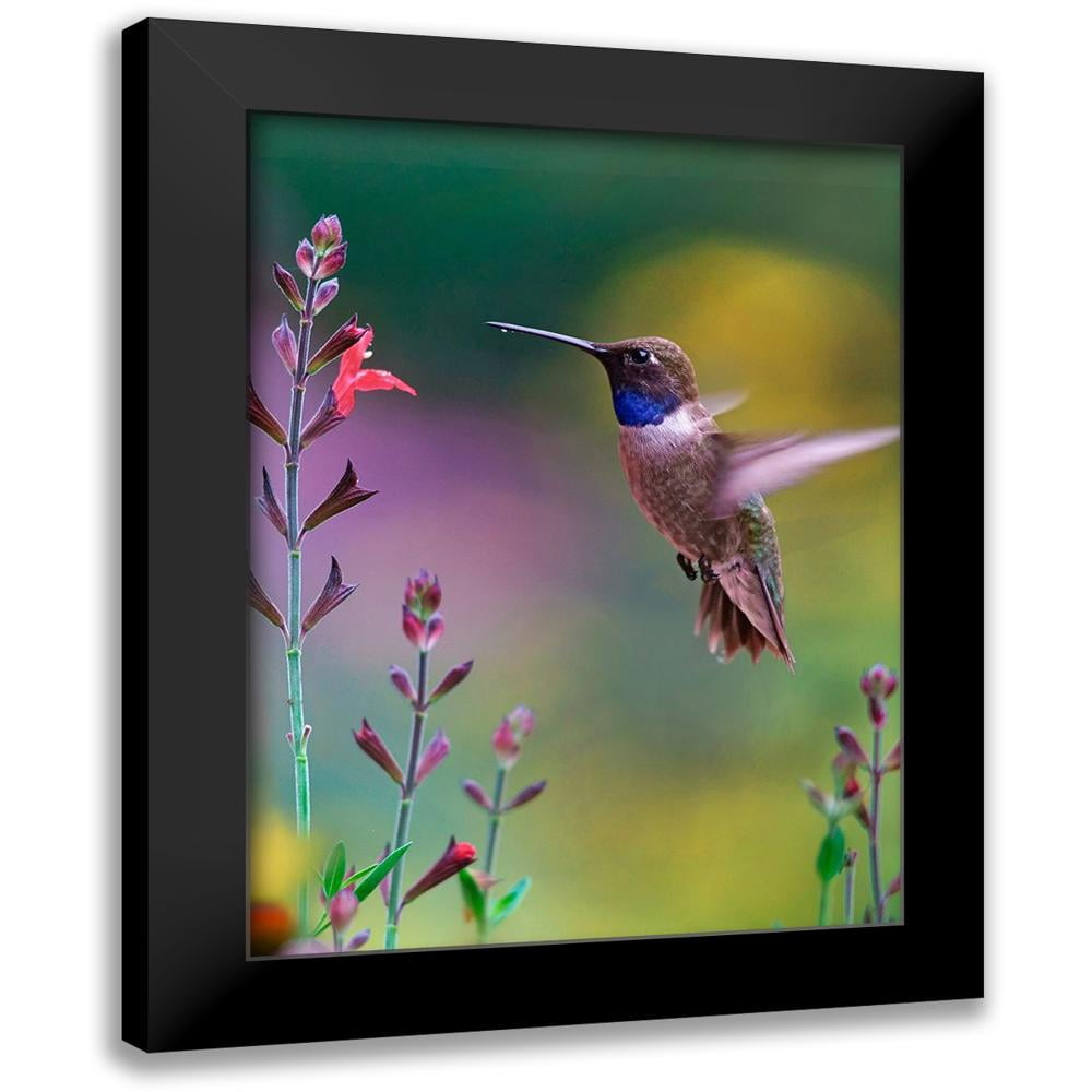 Fitzharris, Tim 14x18 Black Modern Framed Museum Art Print Titled ...