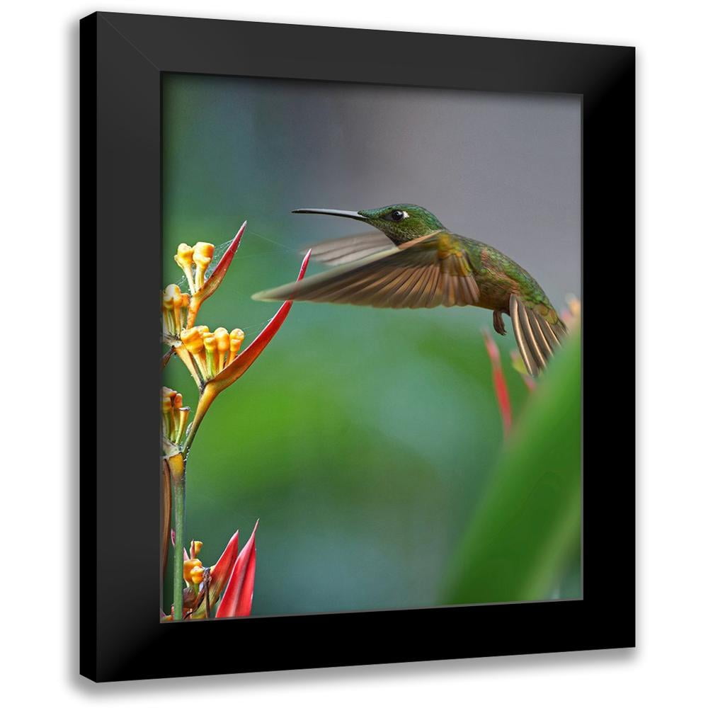 Fitzharris, Tim 14x18 Black Modern Framed Museum Art Print Titled ...