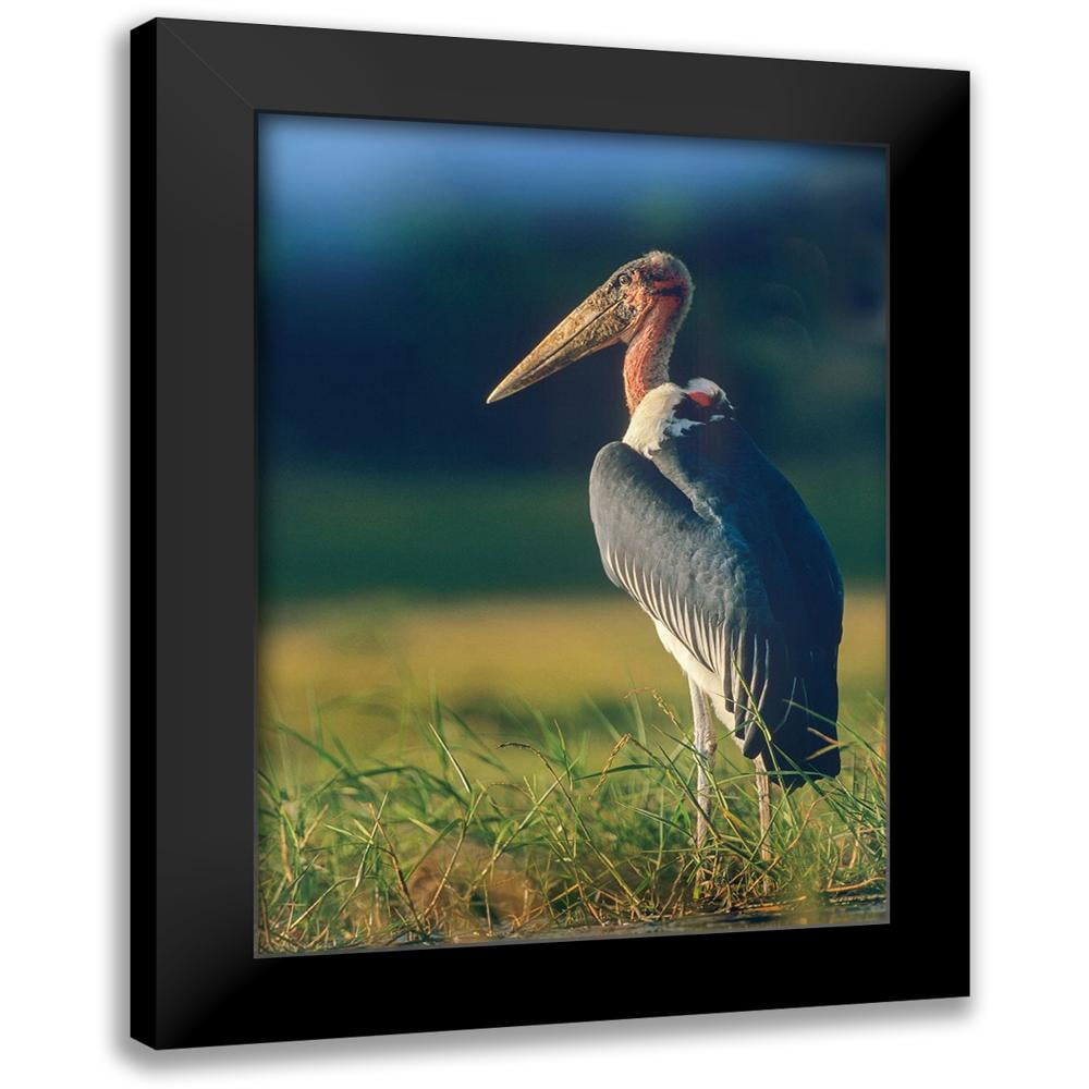 Fitzharris, Tim 14x18 Black Modern Framed Museum Art Print Titled ...