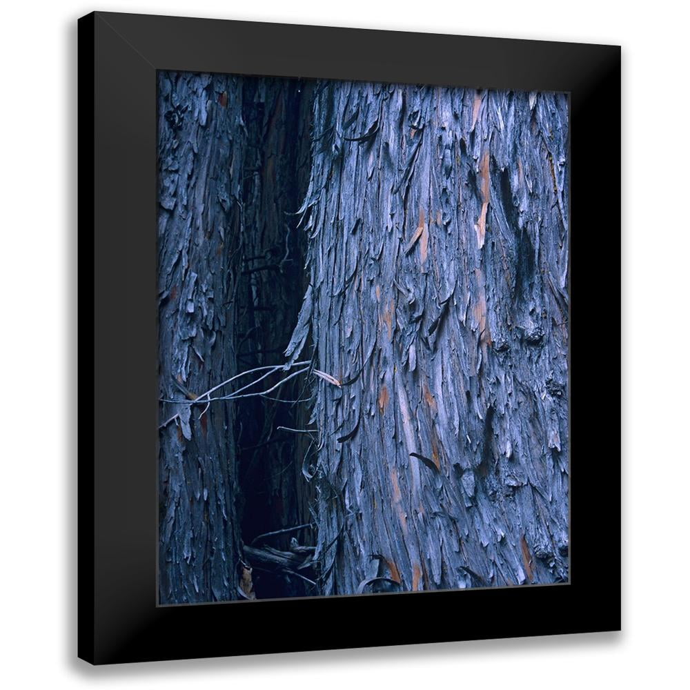 Fitzharris, Tim 14x18 Black Modern Framed Museum Art Print Titled ...