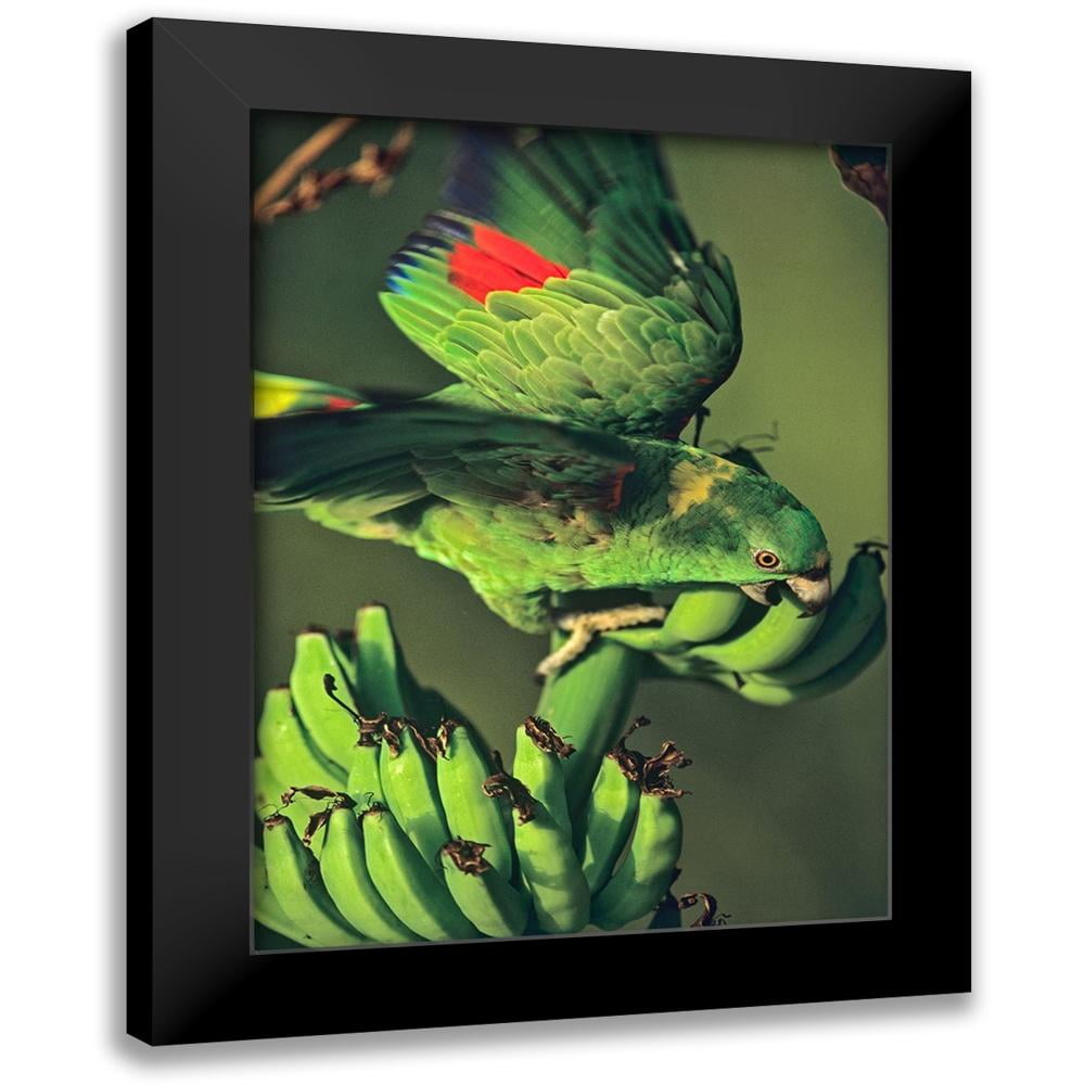 Fitzharris, Tim 14x18 Black Modern Framed Museum Art Print Titled ...