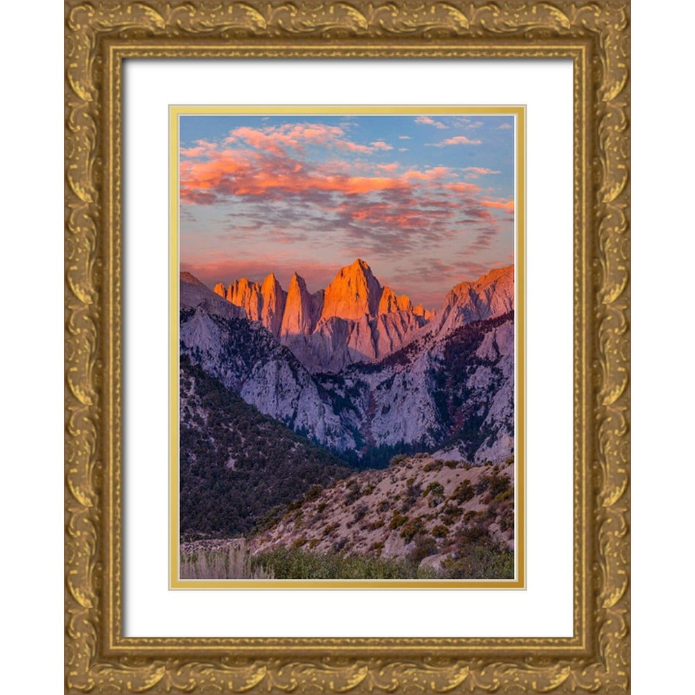 Fitzharris, Tim 14x18 Gold Ornate Wood Framed with Double Matting ...