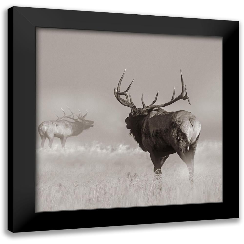 Fitzharris, Tim 15x15 Black Modern Framed Museum Art Print Titled ...