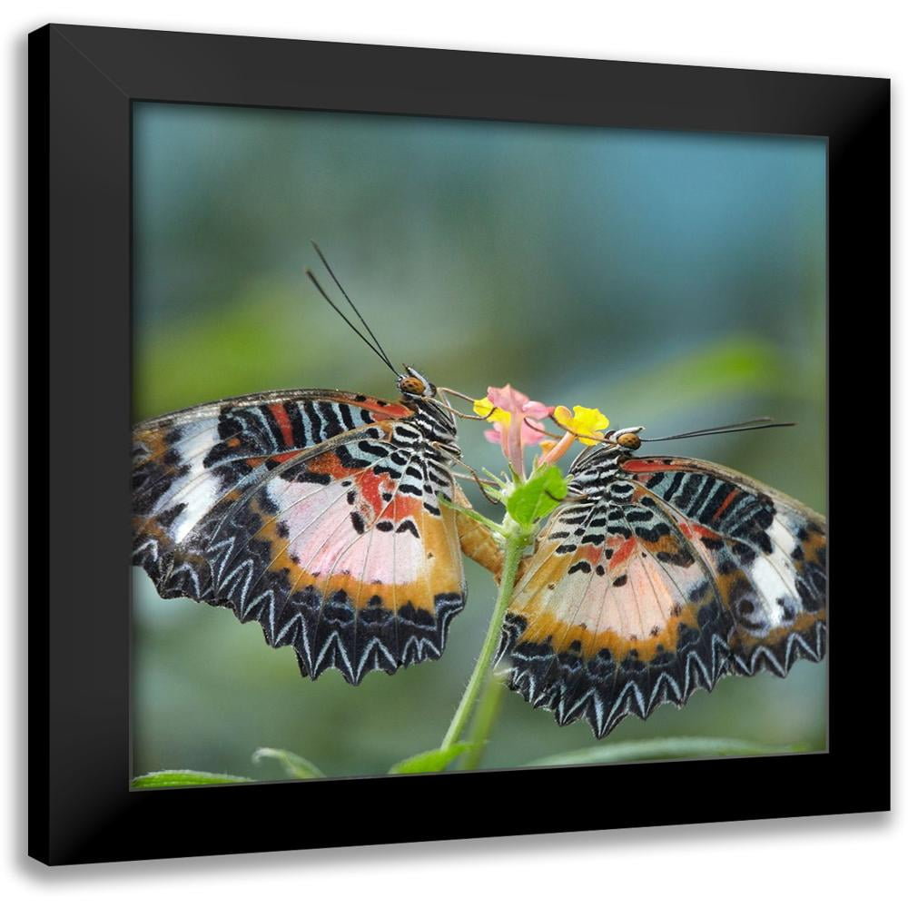 Fitzharris, Tim 15x15 Black Modern Framed Museum Art Print Titled ...