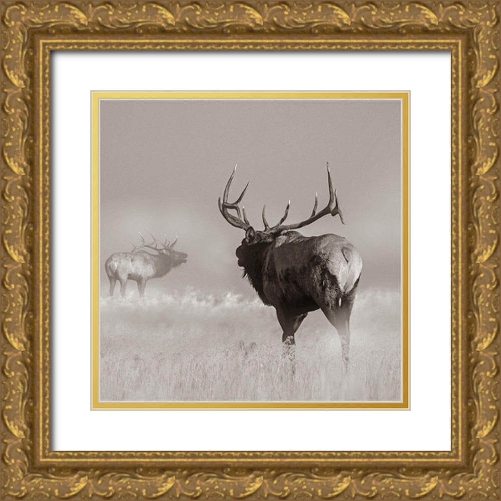 Fitzharris, Tim 15x15 Gold Ornate Wood Framed with Double Matting ...