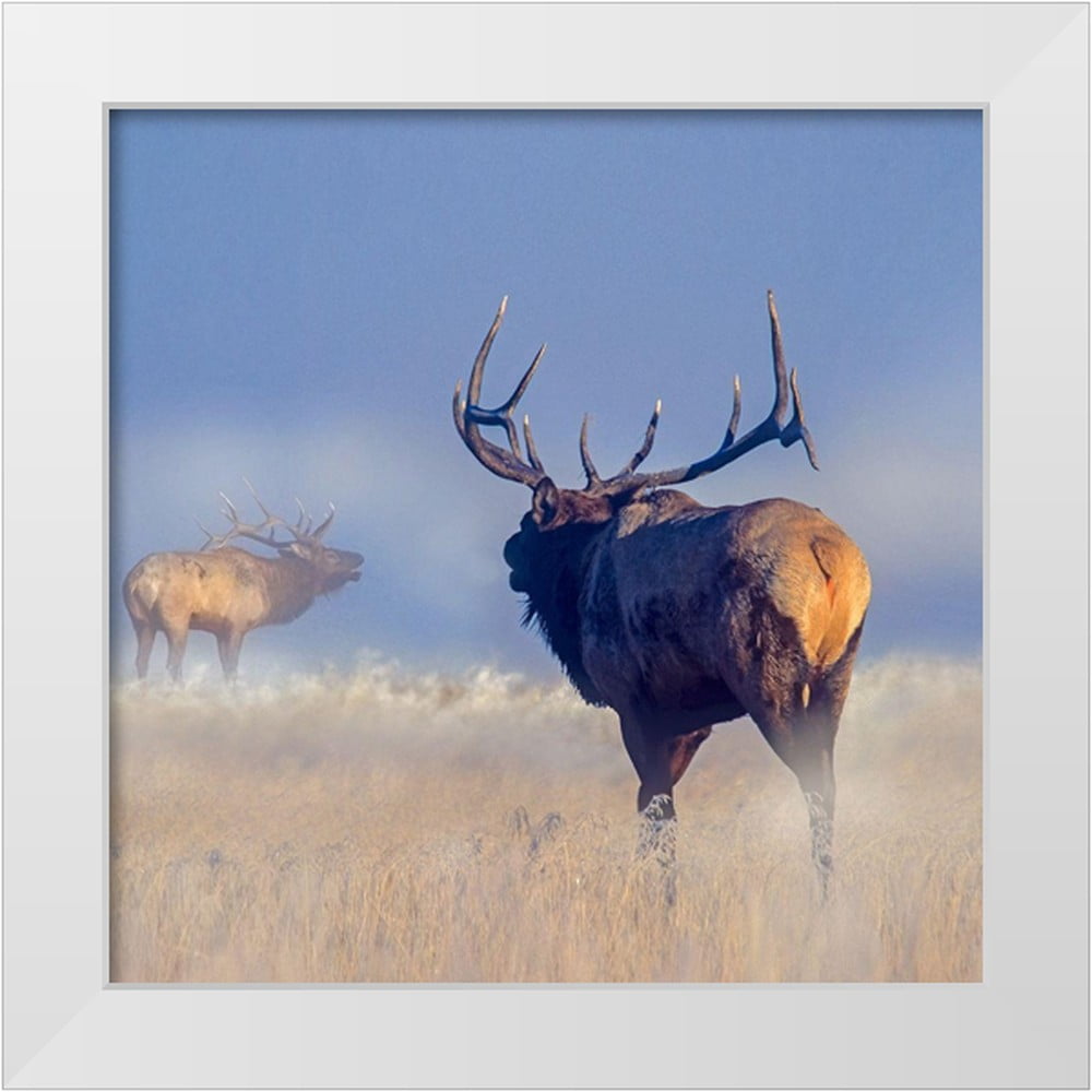 Fitzharris, Tim 15x15 White Modern Wood Framed Museum Art Print Titled ...